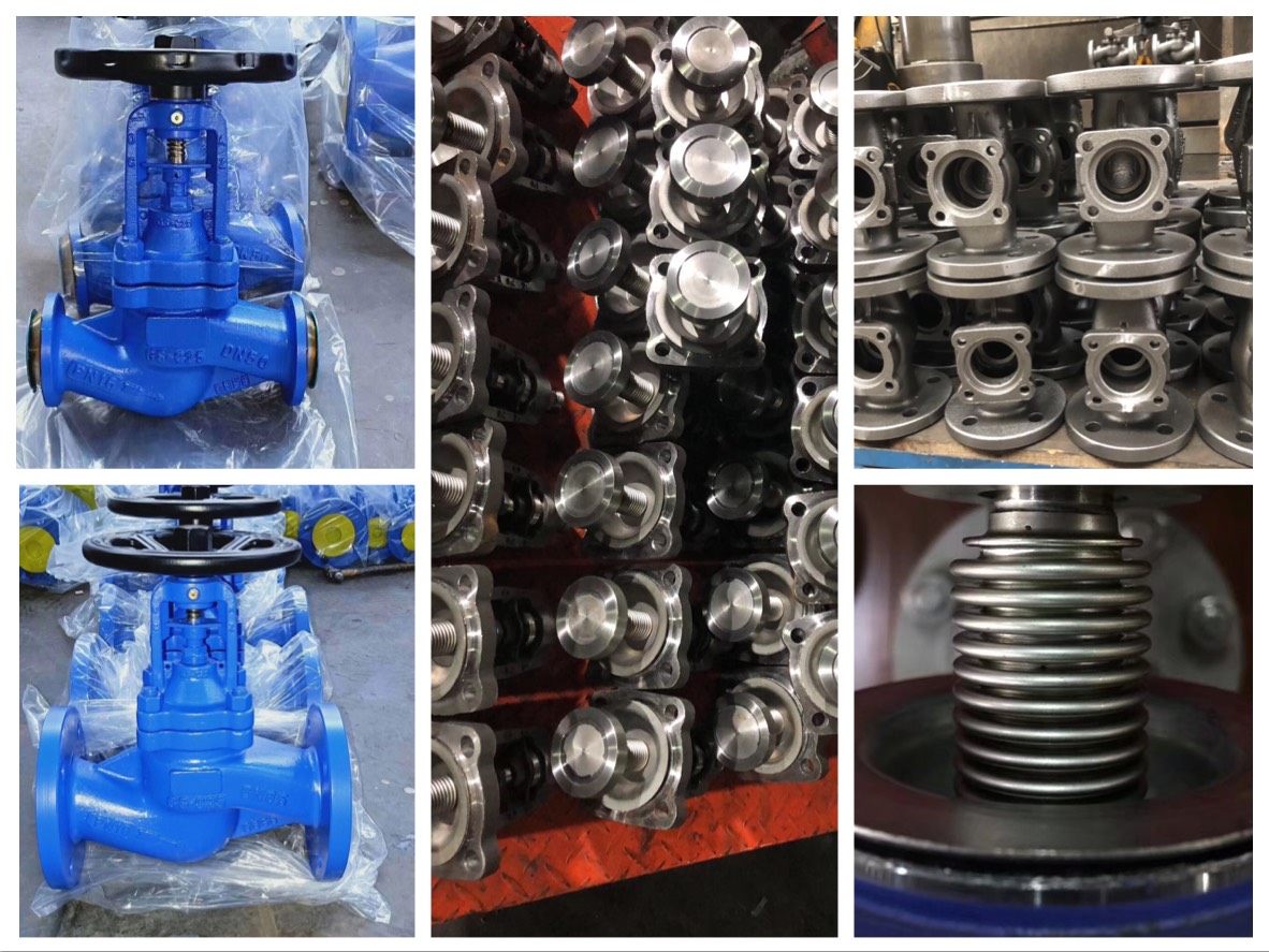 Bellow Seal Globe Valve Cast Steel PN16 from China manufacturer - PG Valves